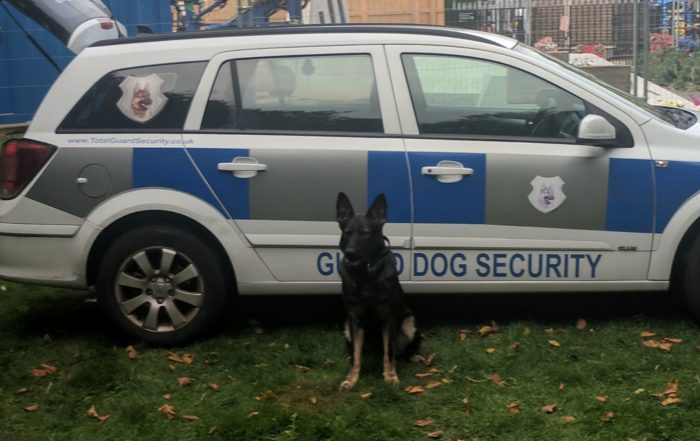 Total Guard Security – Our Mission is to Protect!